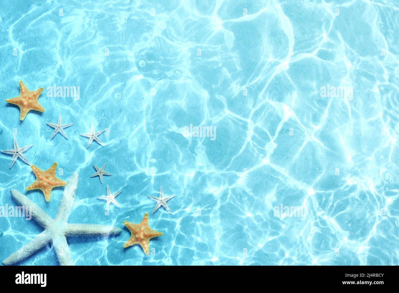 Starfish on the summer beach in sea water. Summer background. Summer ...