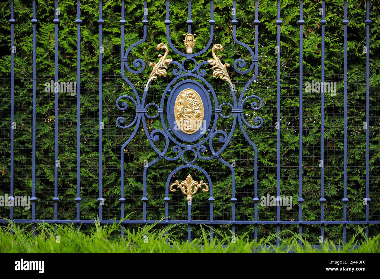 Luxurious pattern on a metal fence Stock Photo - Alamy