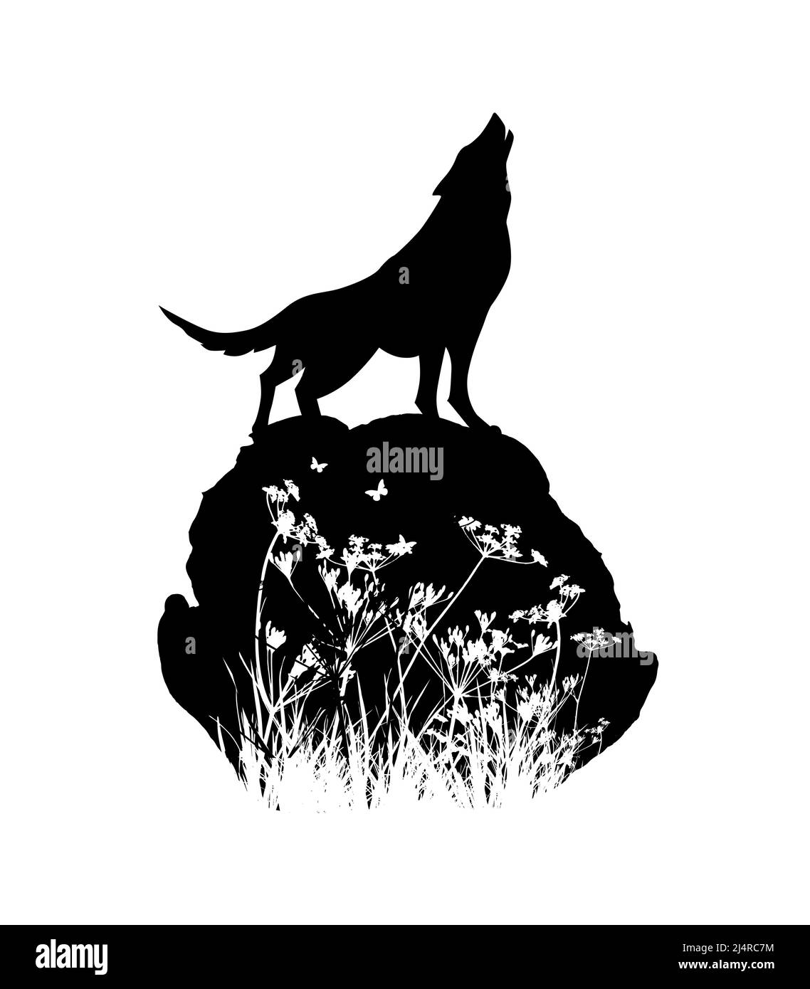 Coyote howling at the moon Cut Out Stock Images & Pictures - Alamy