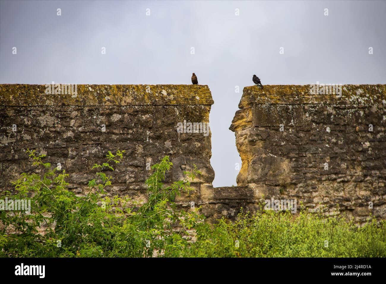 Birds sitting on either side of breach in ancient wall on overcast day ...