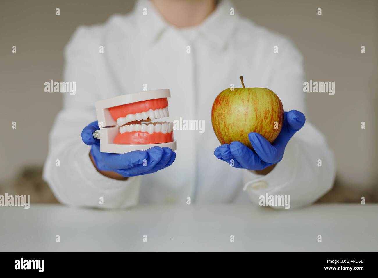Hands of dentist showing apple and jaw teeth model for instruction how ...
