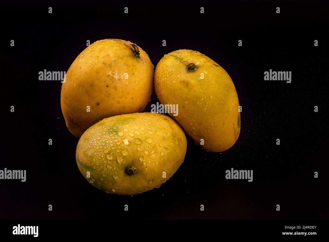 Mangoes isolated in black background. three mangoes. water drops. black ...