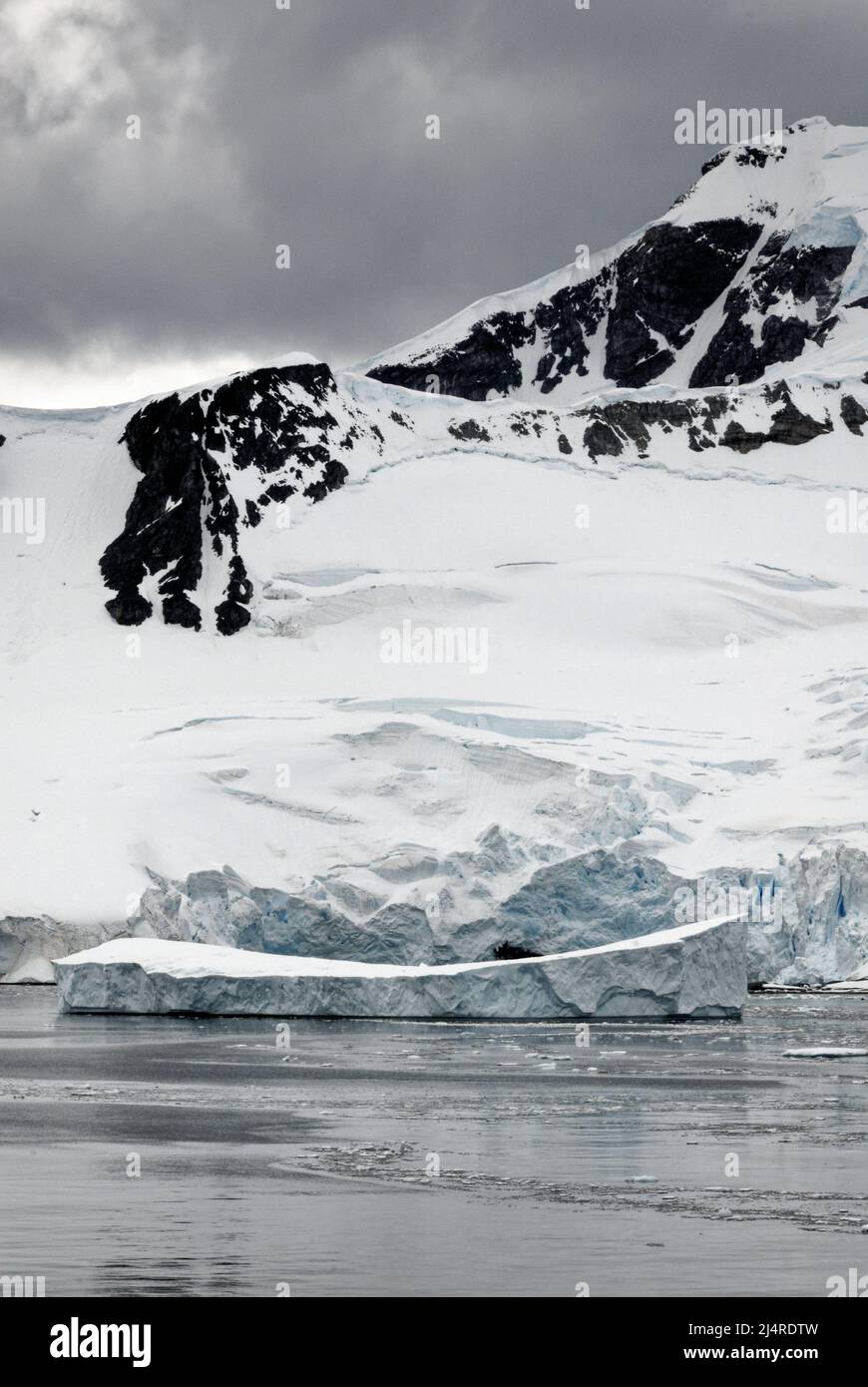 Cruising in Antarctica - Antarctic Peninsula - Palmer Archipelago ...