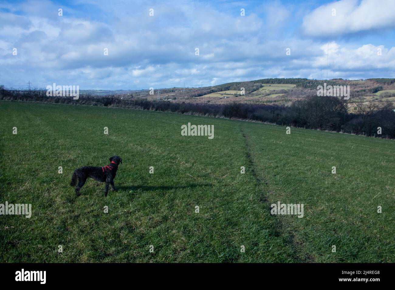 View across Lanchester Valley, County Durham in early spring Stock ...