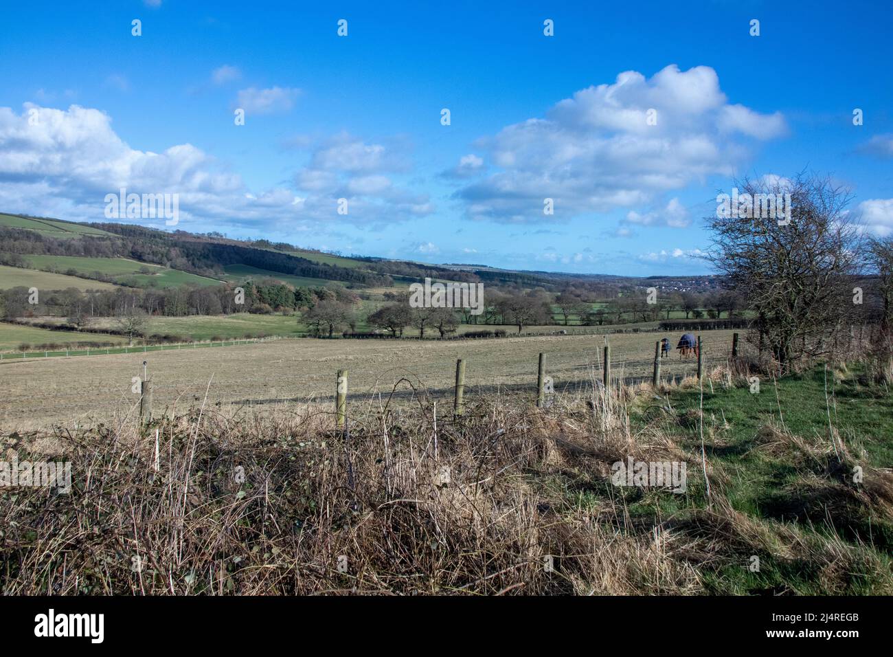 View across Lanchester Valley, County Durham in early spring Stock ...