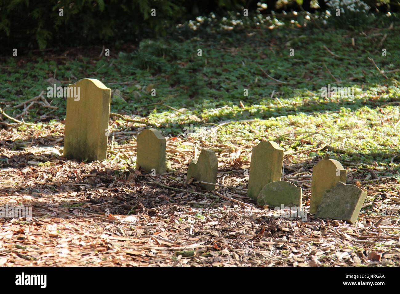 A Line of Gravestones at a Woodland Pet Cemetery Stock Photo - Alamy