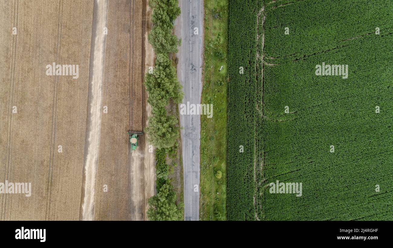 Aerial view combine harvester harvesting on the field Stock Photo - Alamy