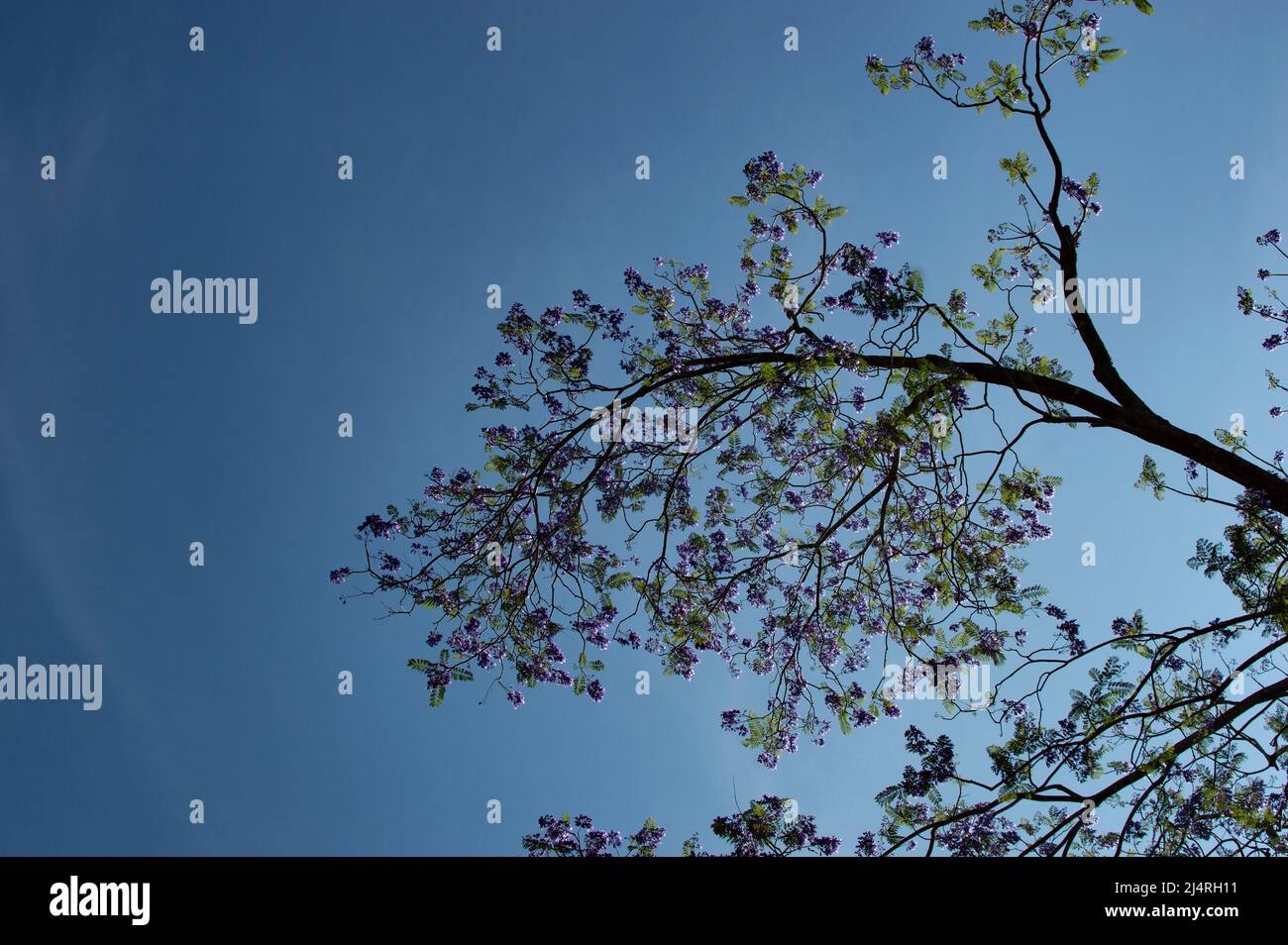 Munnaryatra hi-res stock photography and images - Alamy