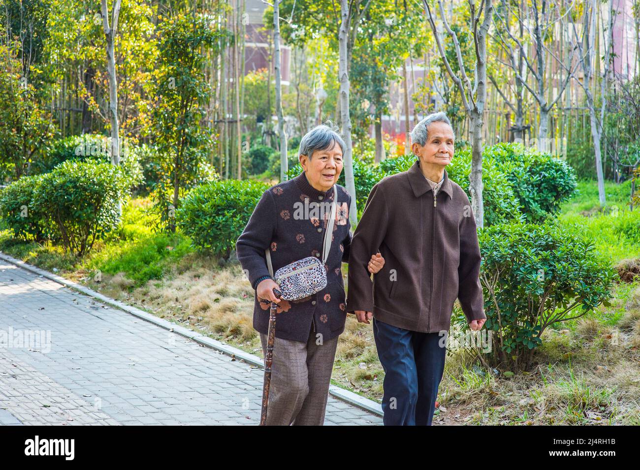 Old chinese man walking stick hi-res stock photography and images - Alamy