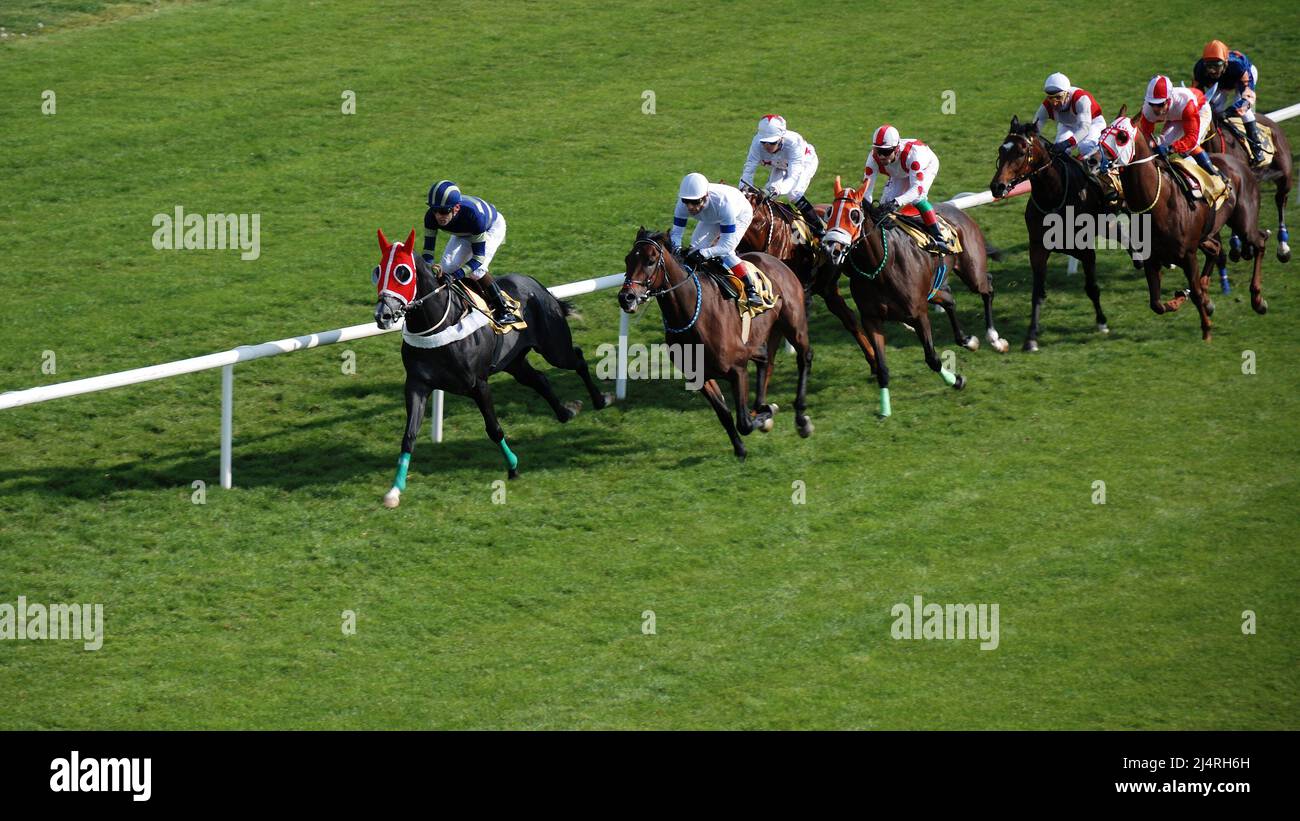 Jockeys race racetrack hi-res stock photography and images - Alamy