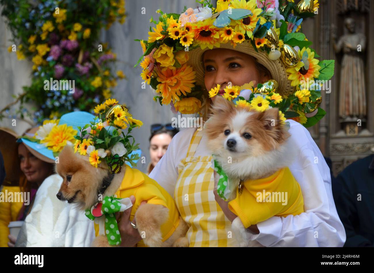 A woman with her dogs are seen dressed up with floral hats at the ...