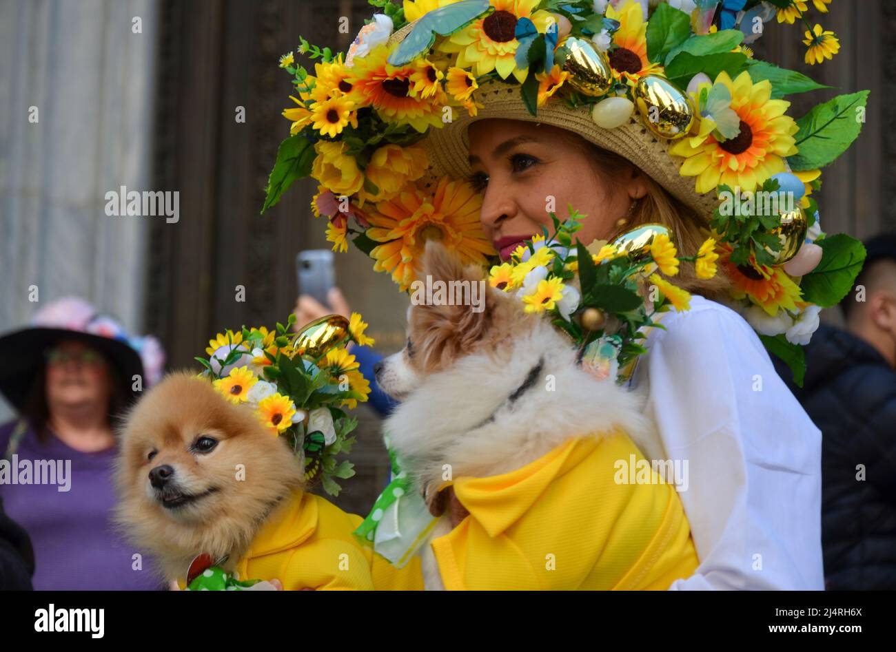 A woman with her dogs are seen dressed up with floral hats at the ...