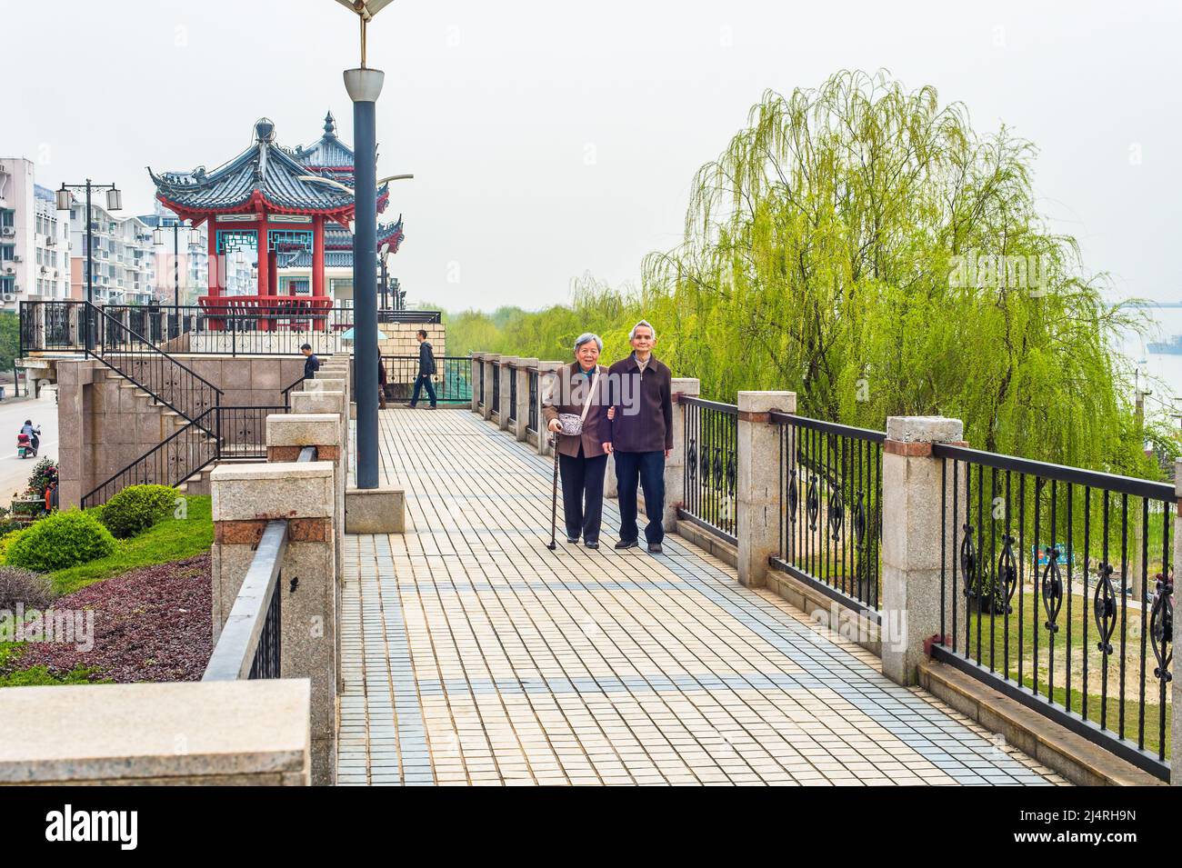 Old chinese man walking stick hi-res stock photography and images - Alamy