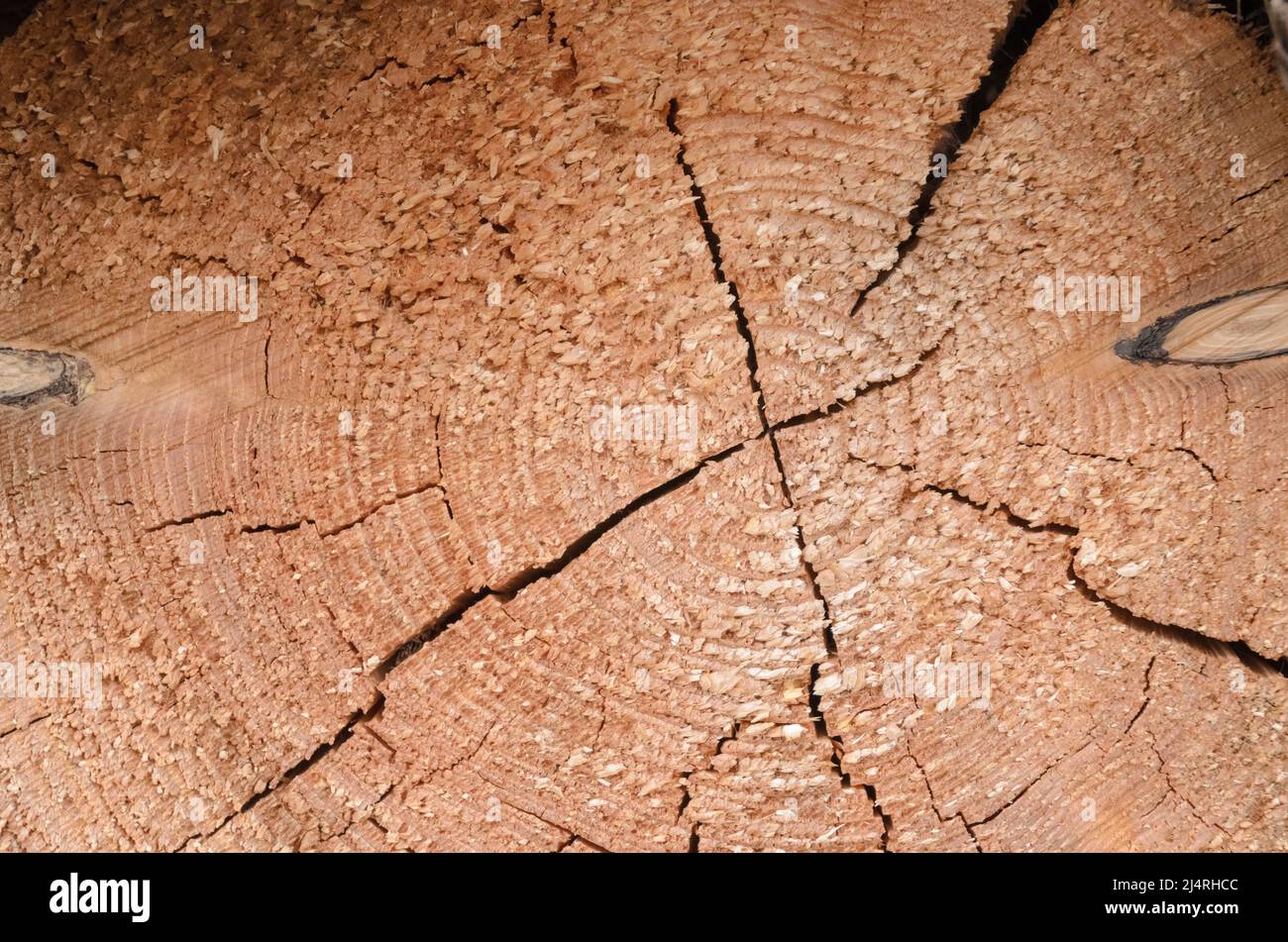 Cross fissures view hi-res stock photography and images - Alamy