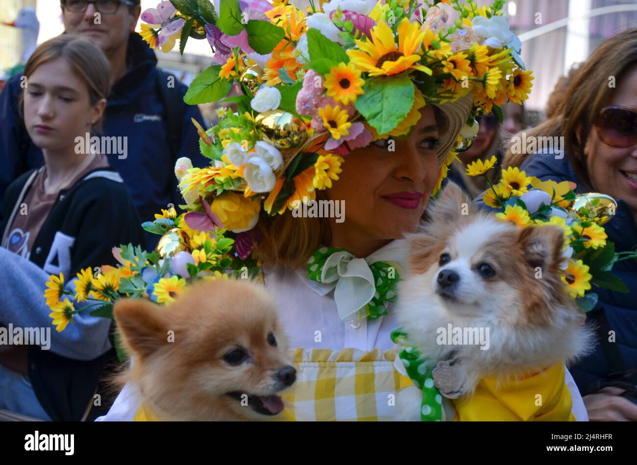 A woman with her dogs are seen dressed up with floral hats at the ...