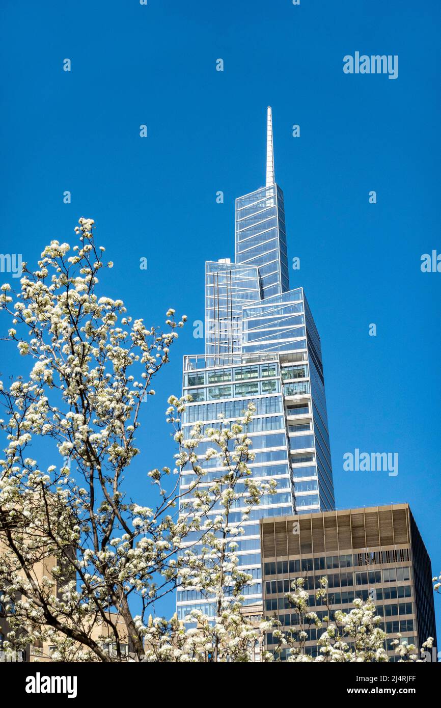One Vanderbilt supertall skyscraper has a blooming spring tree in the ...