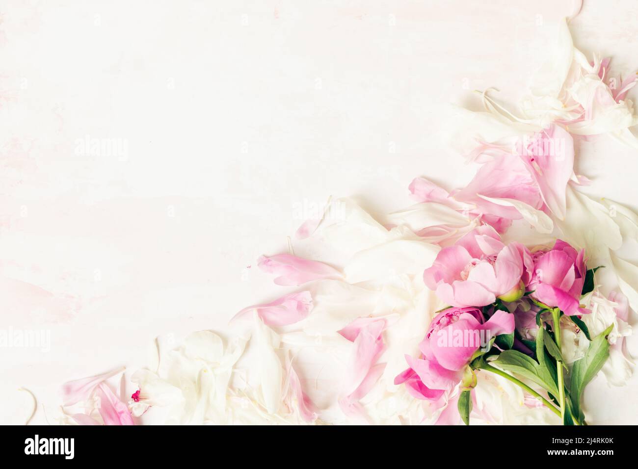 Pion frame hi-res stock photography and images - Alamy