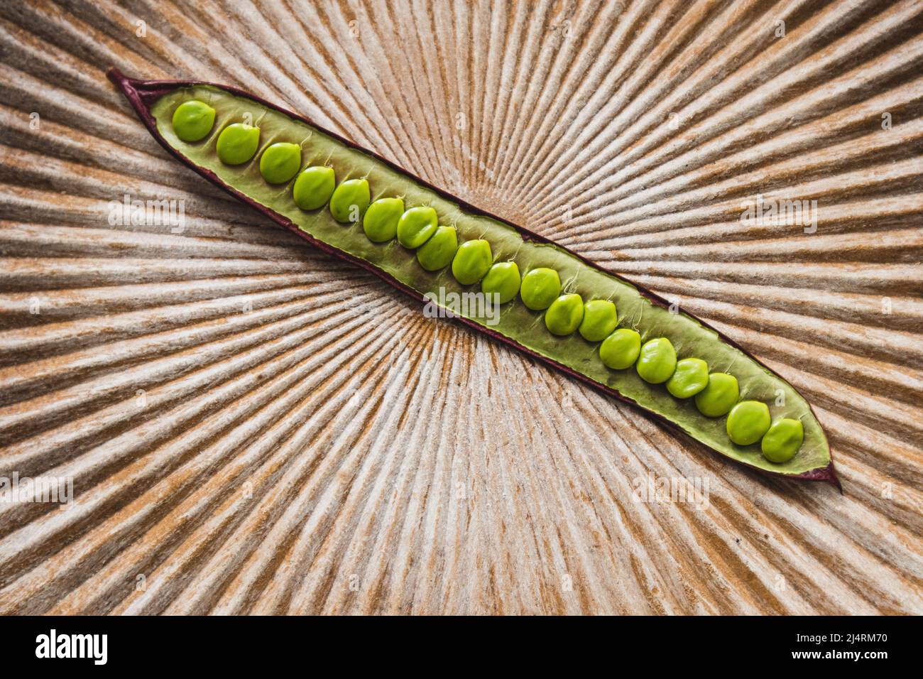 Guaje seeds hi-res stock photography and images - Alamy