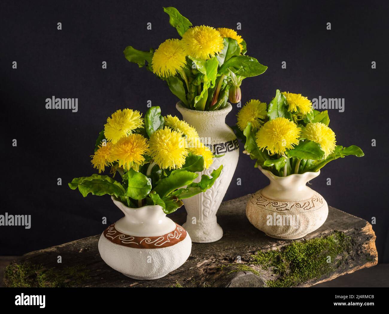 Bouquets of beautiful flowers of yellow dandelions in vases on an old ...