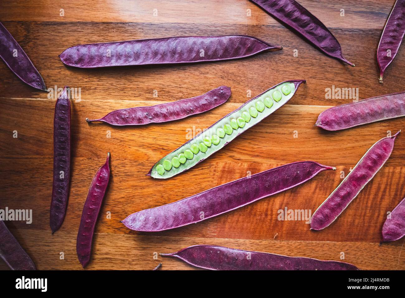 Guaje seed pods scattered on a wood table in a pattern Stock Photo - Alamy