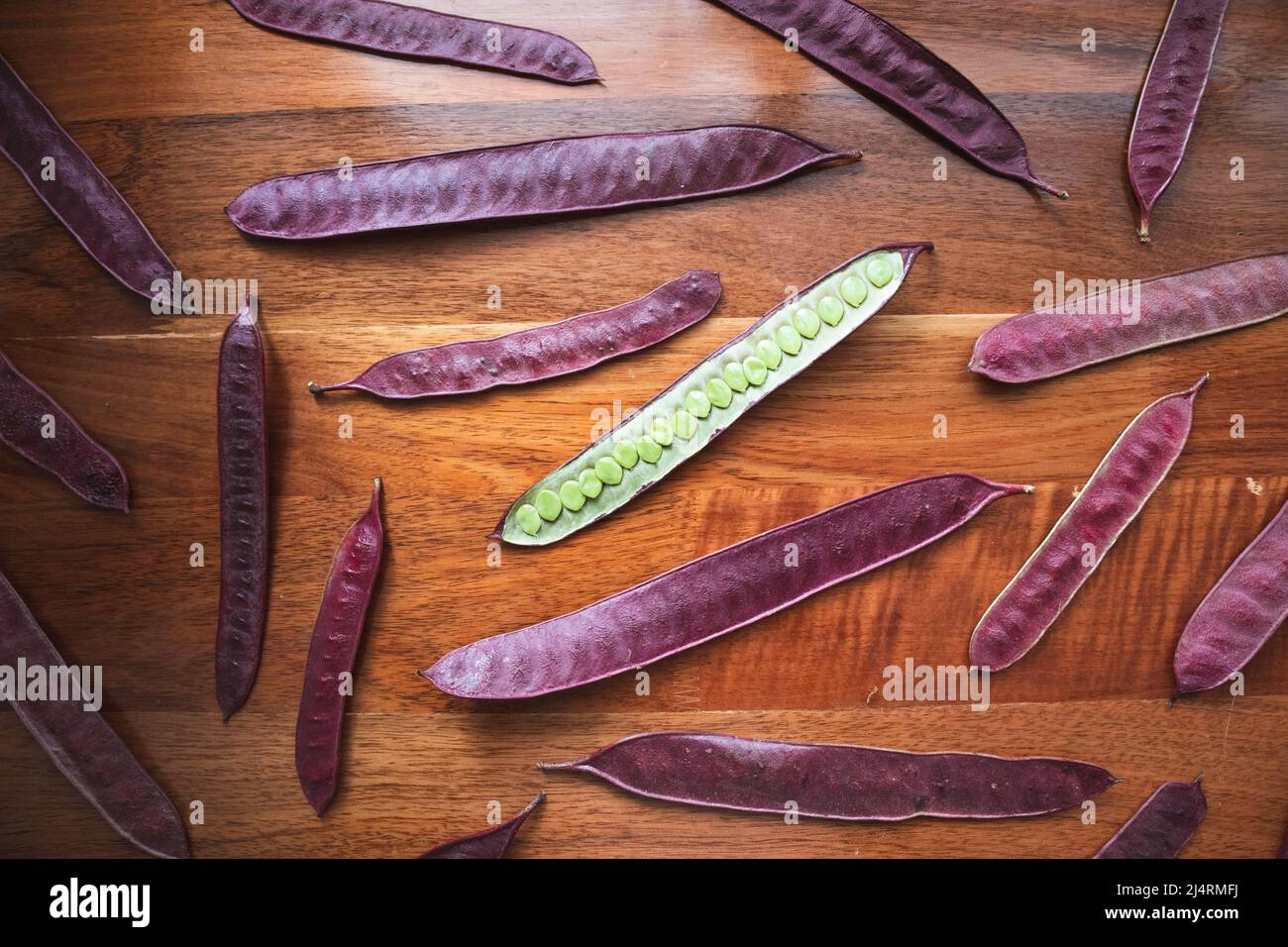 Guaje seed pods scattered on a wood table in a pattern Stock Photo - Alamy