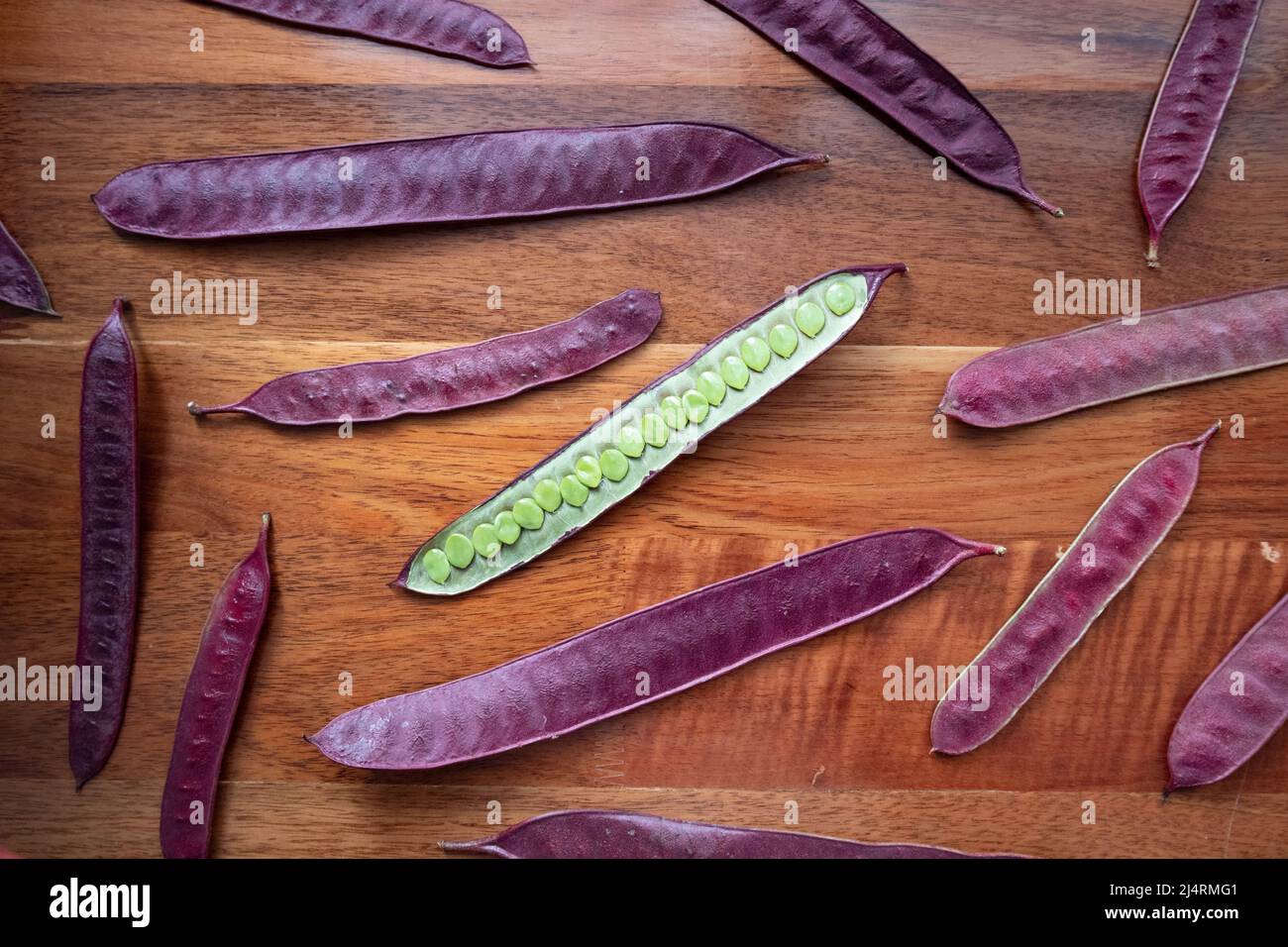 Guaje seed pods scattered on a wood table in a pattern Stock Photo - Alamy