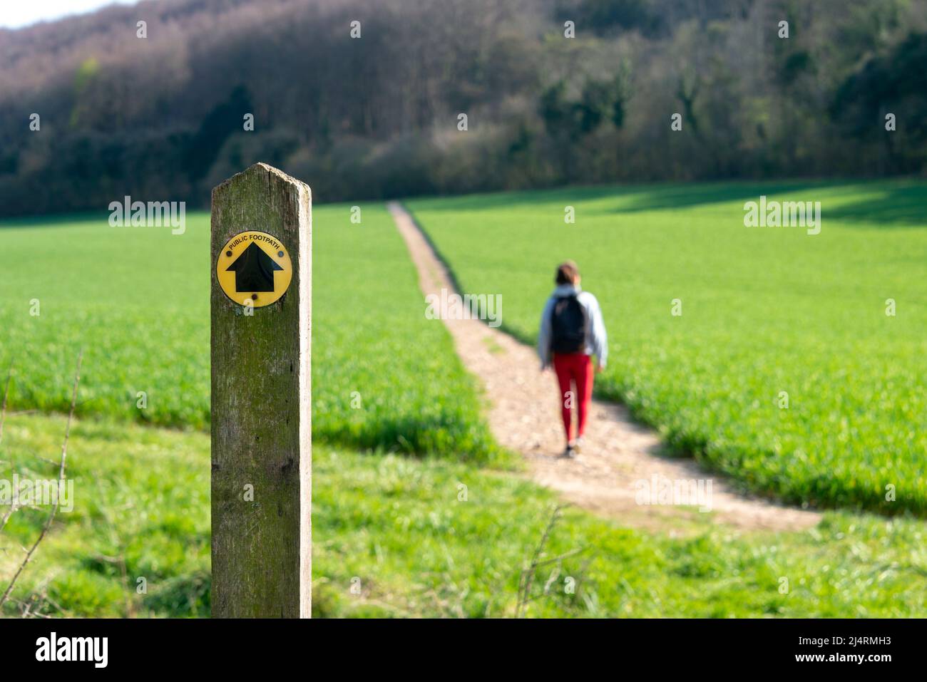 Wooden signpost on public footpath hi-res stock photography and images ...