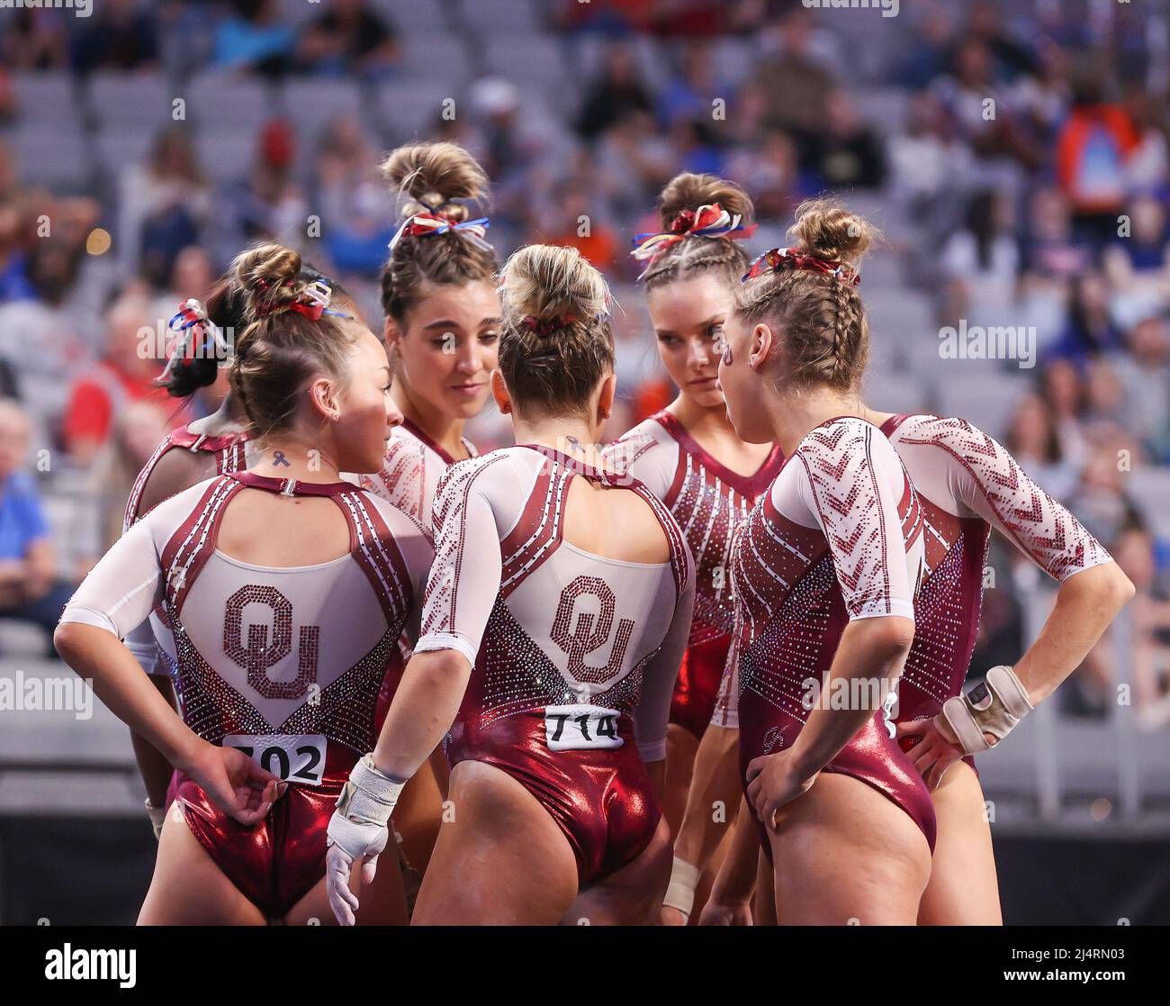 April 16, 2022: The Oklahoma women's gymnastics team huddles prior to ...