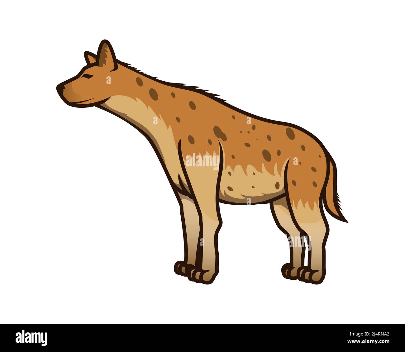 Detailed Hyena with Standing Gesture Illustration Vector Stock Vector ...