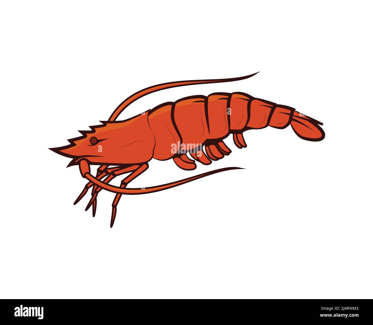Detailed Lobster Illustration as Sea Animal Entity Vector Stock Vector ...