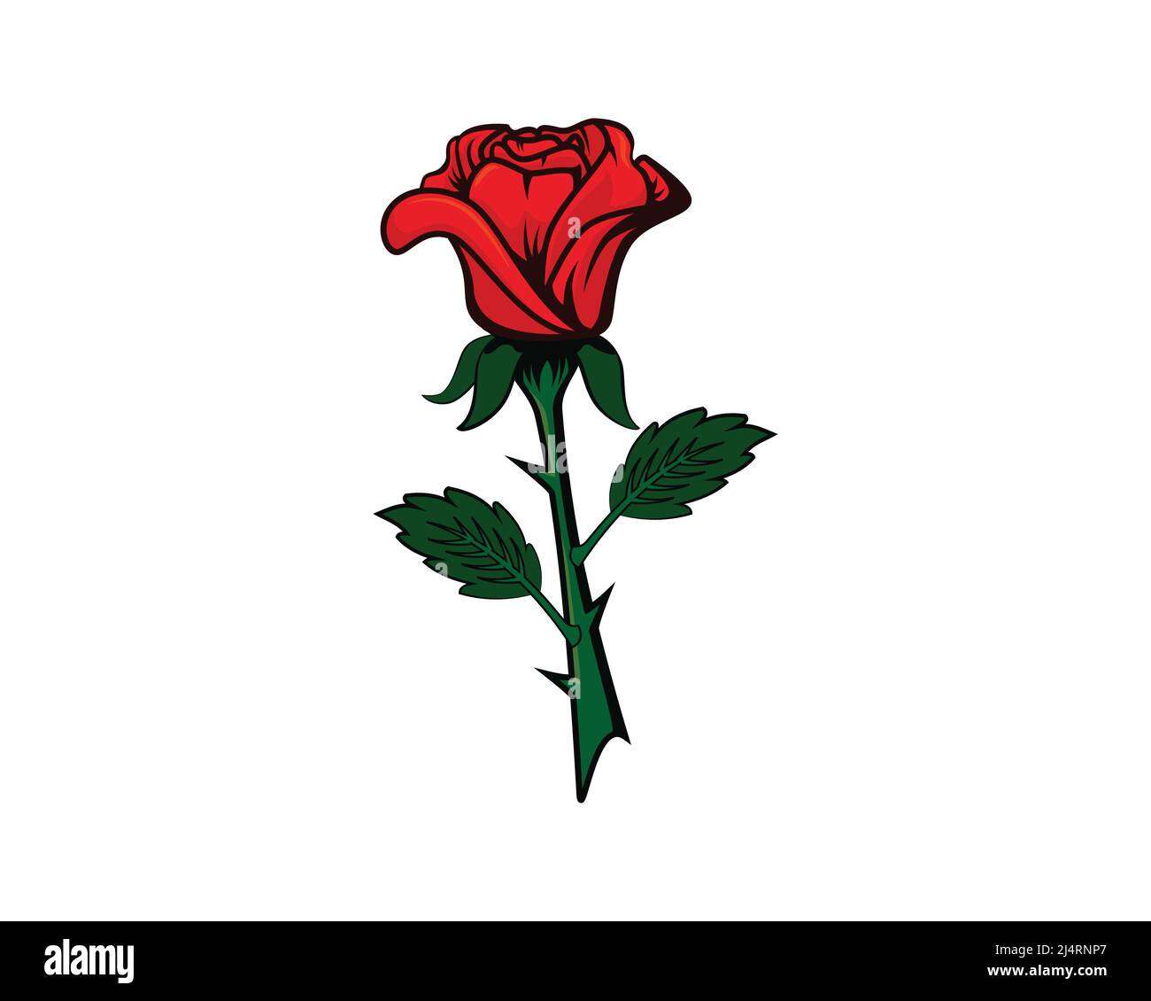 Detailed Single Red Rose Illustration Vector Stock Vector Image & Art ...