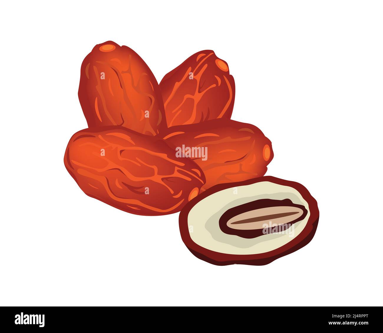 Date seed Cut Out Stock Images & Pictures - Alamy