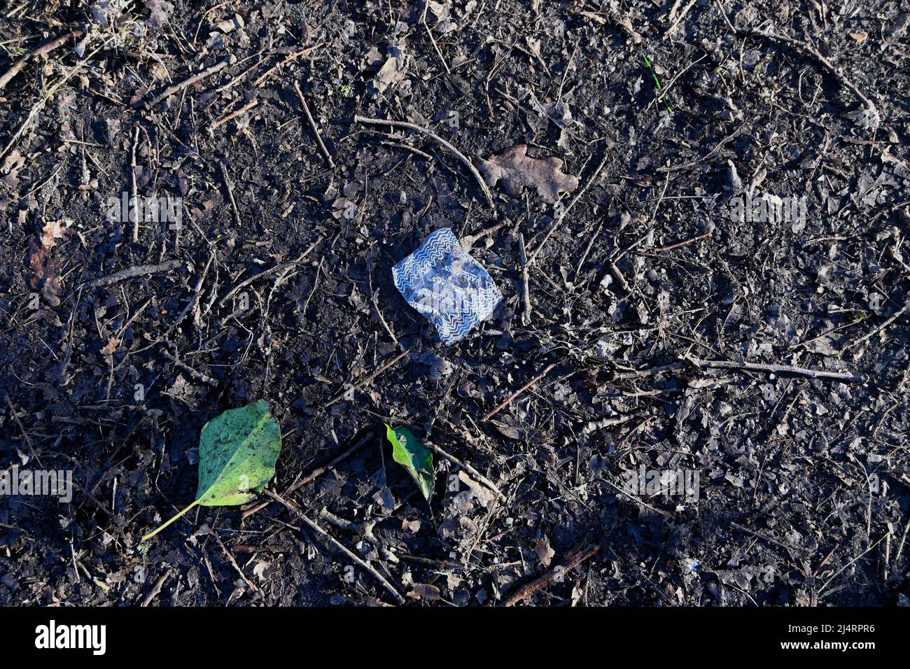 Litter littering wrapper hi-res stock photography and images - Alamy