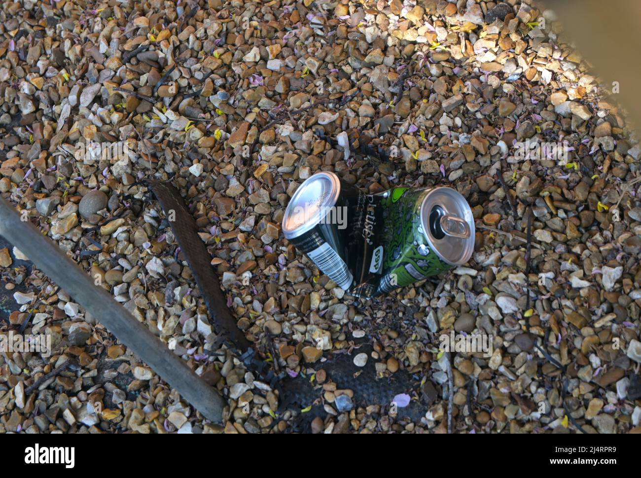 discarded drinks can Stock Photo - Alamy