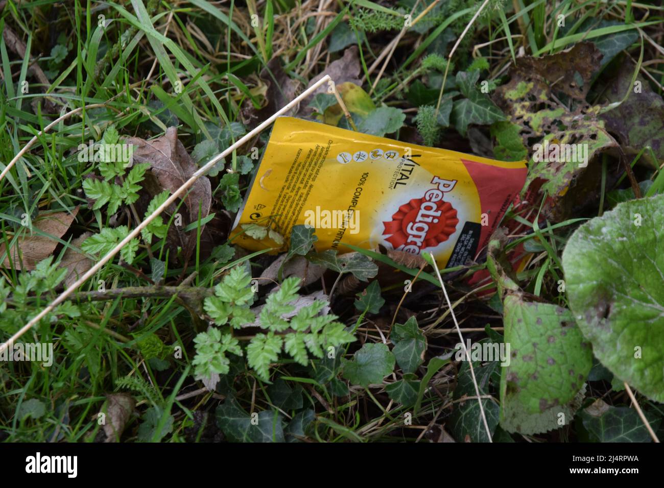 Dog food packet hi-res stock photography and images - Alamy
