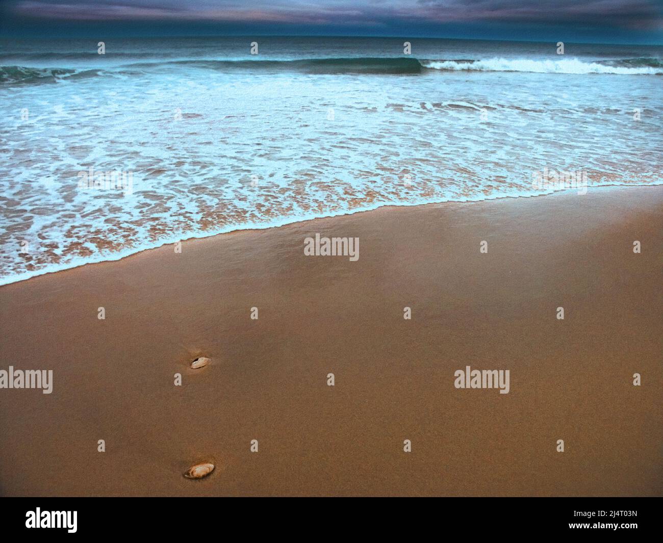 Sandy ocean shore and waves. 3D rendering Stock Photo - Alamy