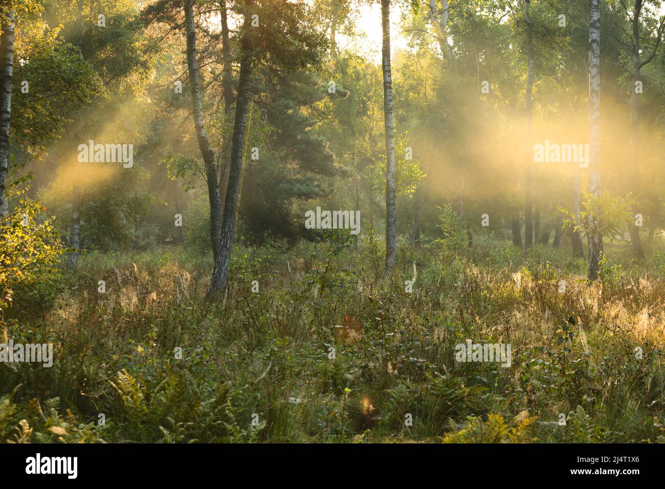 Attractive view hi-res stock photography and images - Alamy