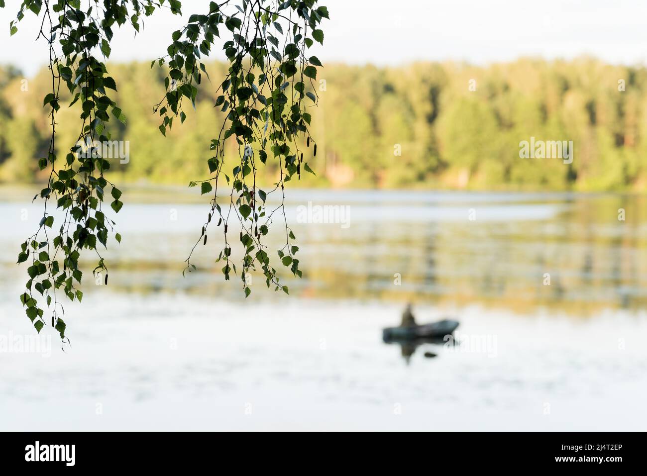 Nature of Belarus, calm serene summer landscape on the lake Stock Photo ...