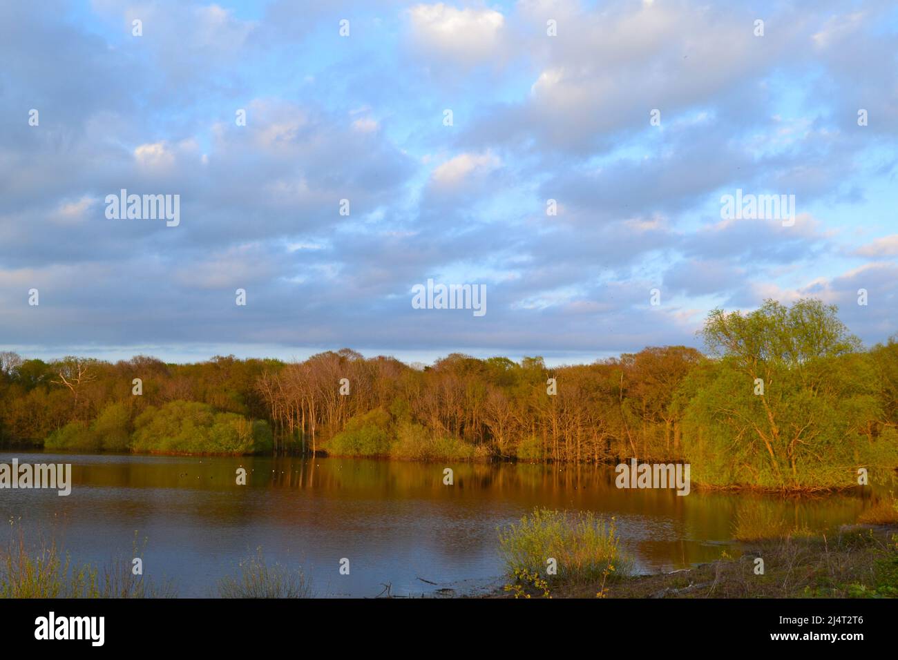 Upper lake at Bough Beech reservoir, north west Kent, near Sevenoaks in ...