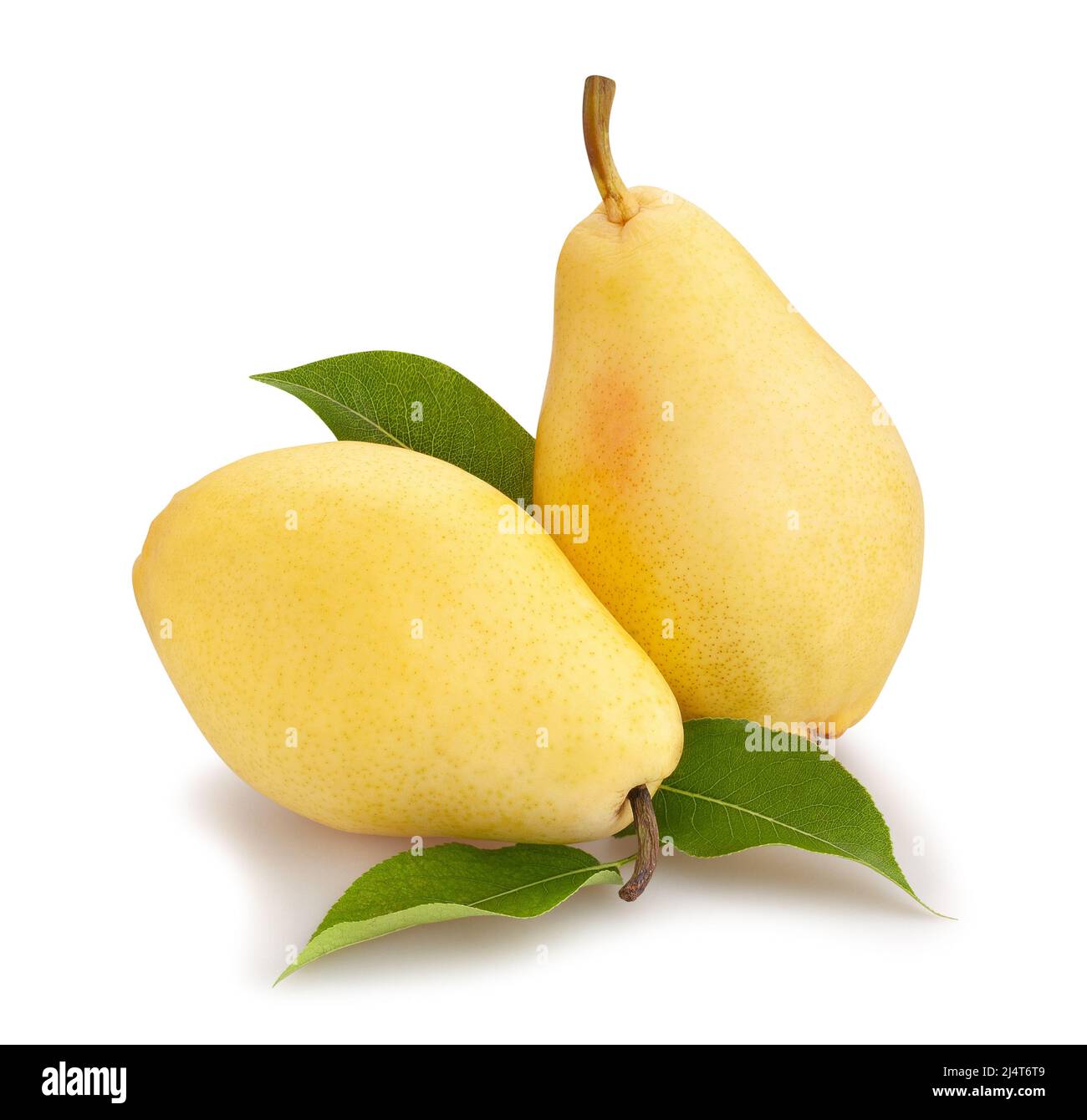 pear path isolated on white Stock Photo - Alamy