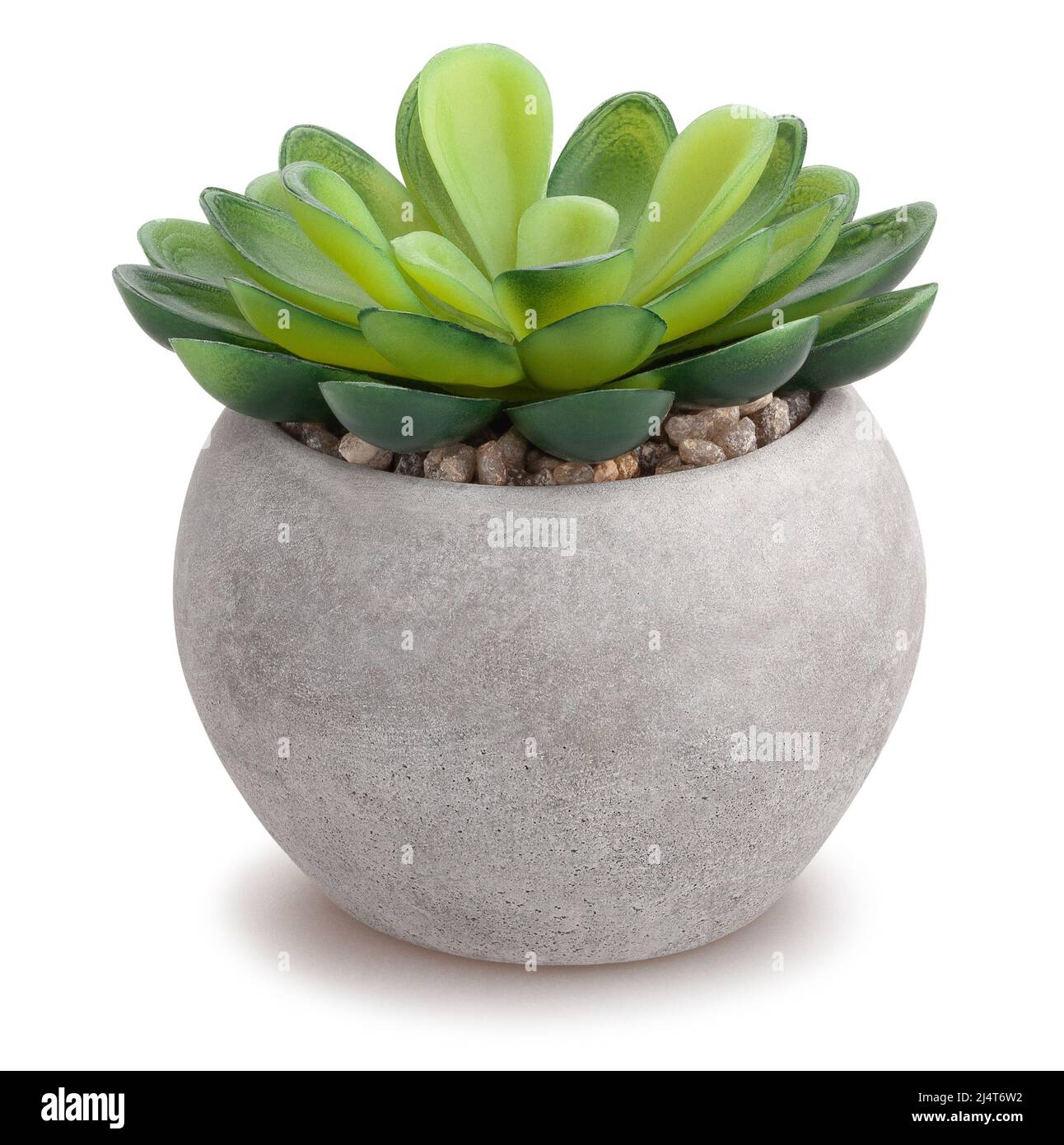 artificial plant path isolated on white Stock Photo - Alamy