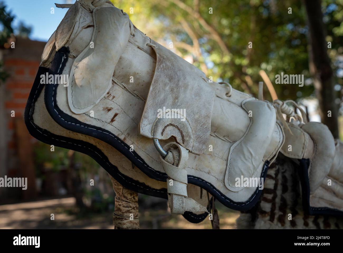 Argentine gaucho saddle hi-res stock photography and images - Alamy