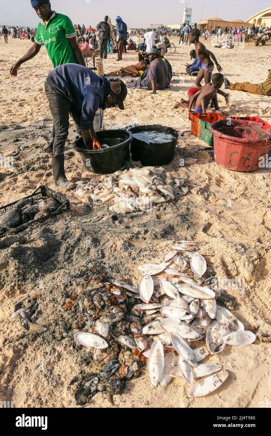 Mauritania, Nouakchott, fish market on the beach Stock Photo - Alamy