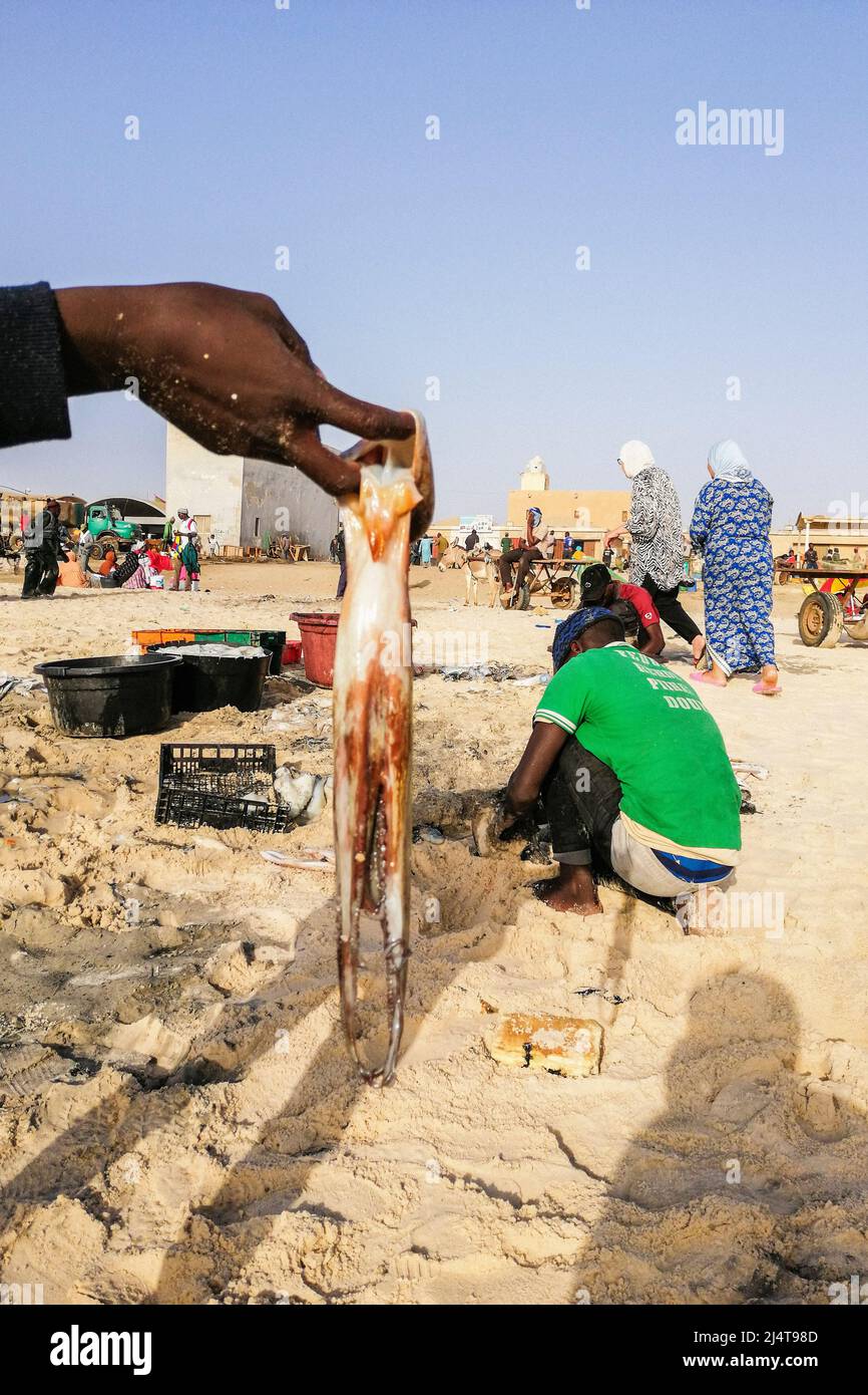 Mauritania, Nouakchott, fish market on the beach Stock Photo - Alamy