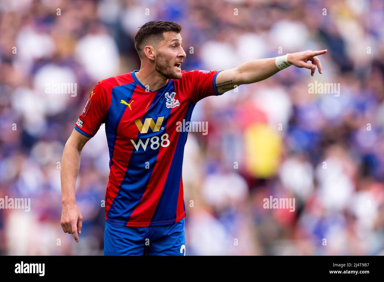 Joel ward crystal palace hi-res stock photography and images - Alamy