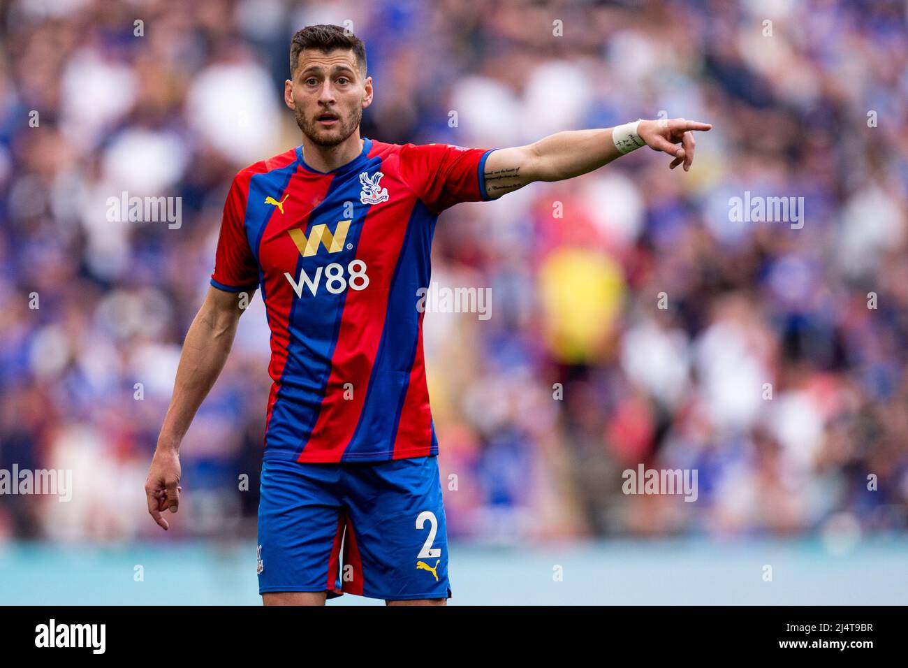 Joel ward crystal palace hi-res stock photography and images - Alamy