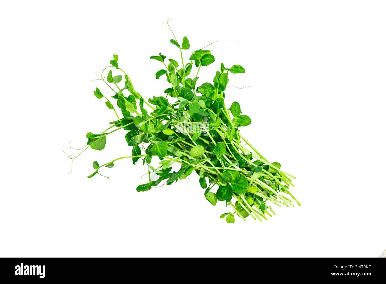Sprouts of a young pea isolated on white background. Fresh food ...