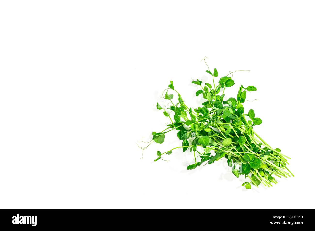 Sprouts of a young pea isolated on white background. Fresh food ...