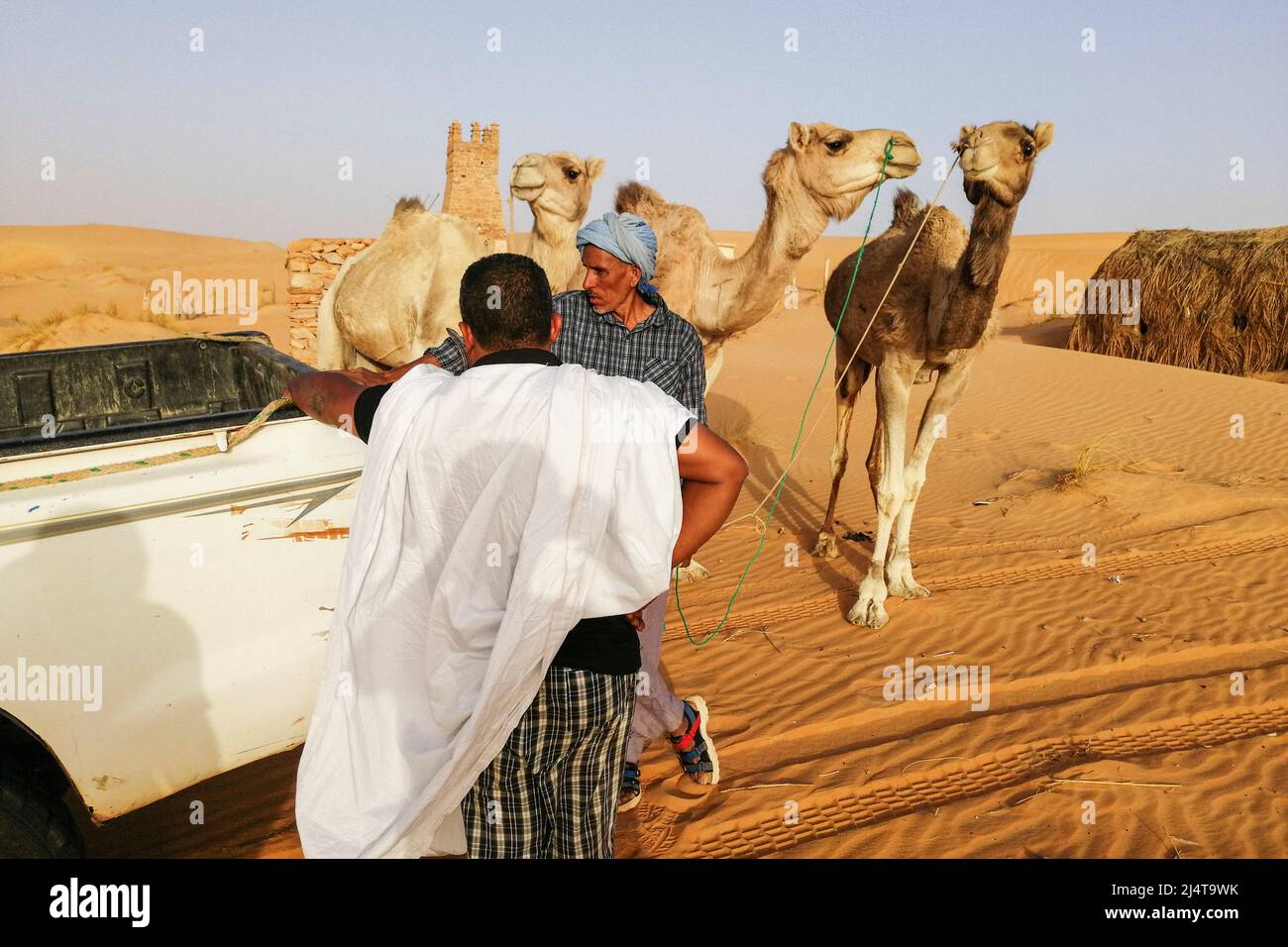 Mauritania, surroundings of Chinguetti Stock Photo - Alamy