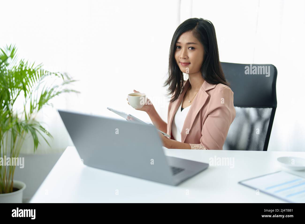 data analysis, plan, marketing, accounting, audit, Portrait of asian ...